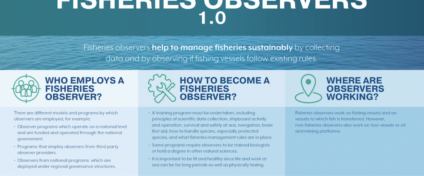 fishing for information examples